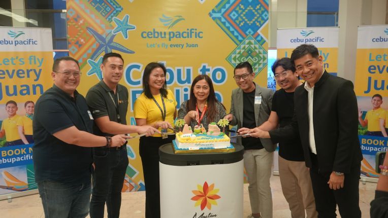 ABOITIZ INFRACAPITAL | Home